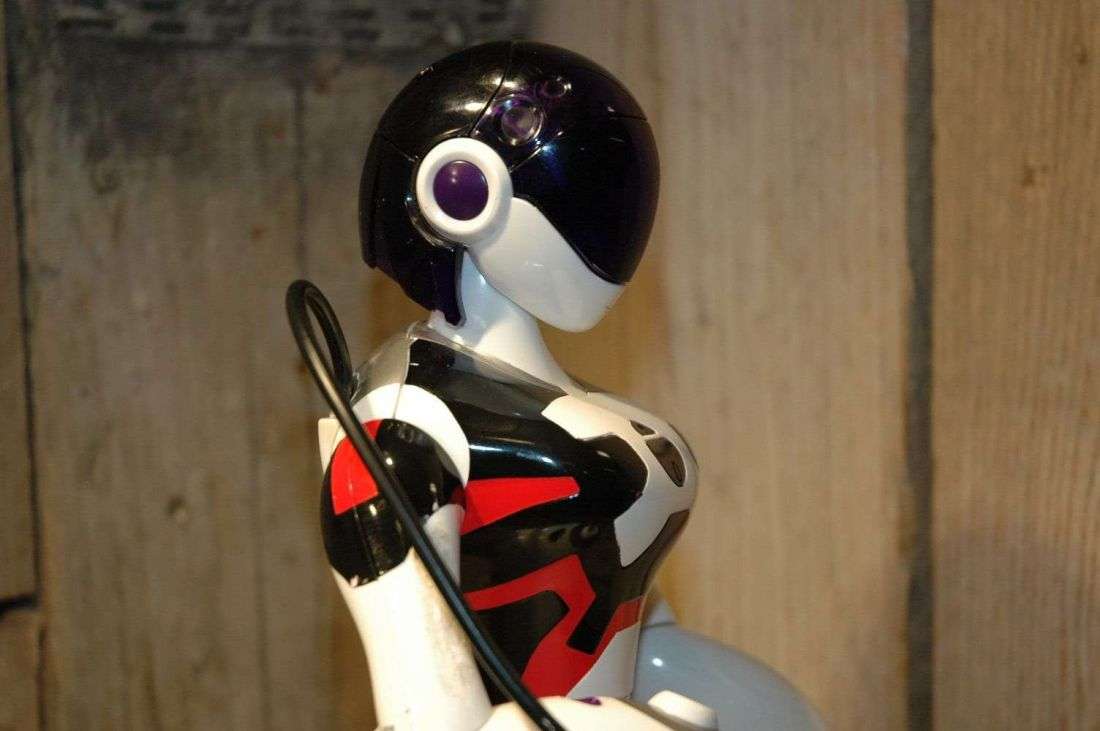 Wowwee - Femisapien Prototype - Vintage Spacetoys